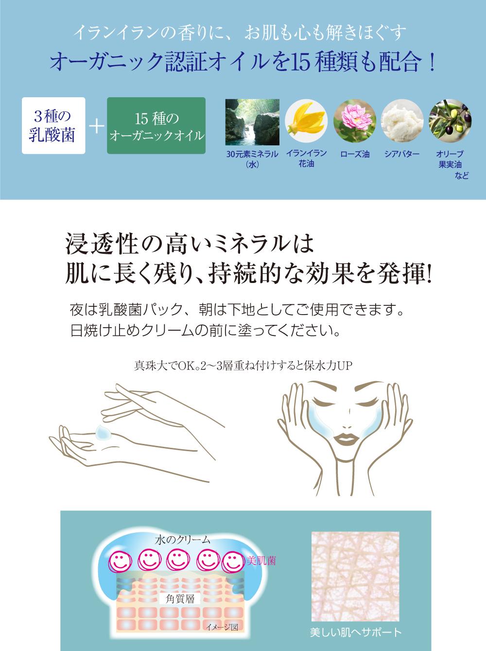 2026年1月31日終売【シルバークリーム】ウォータークリームシルバーAg 100g